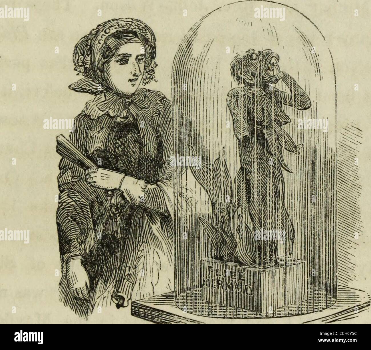 Feejee mermaid hi-res stock photography and images - Alamy