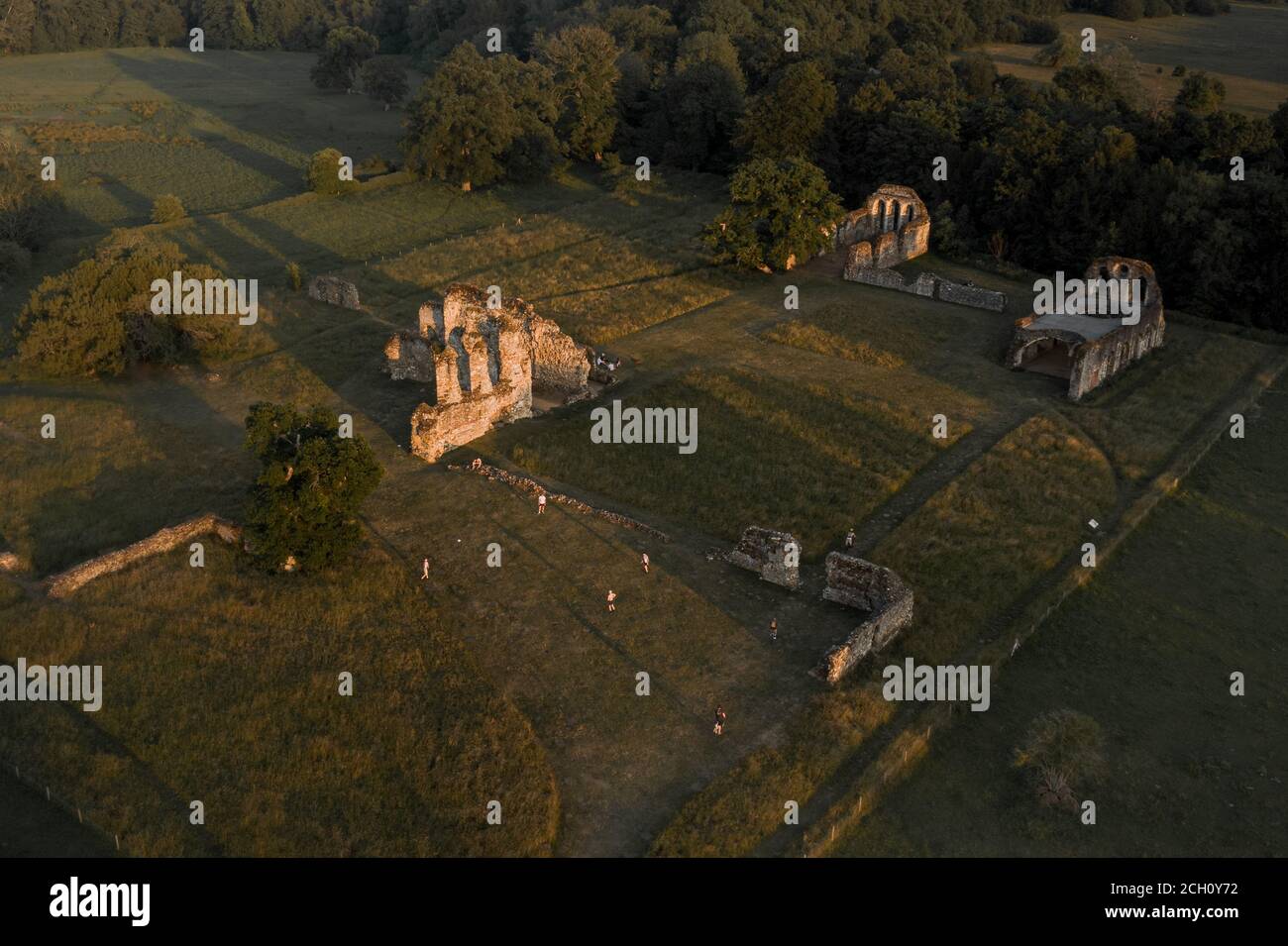 Waverley abbey tree hi-res stock photography and images - Alamy