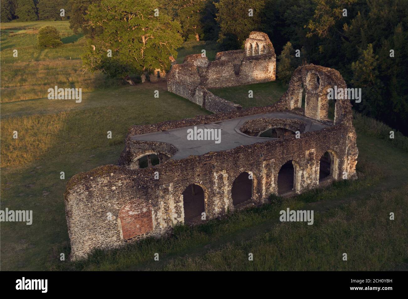Waverley abbey tree hi-res stock photography and images - Alamy