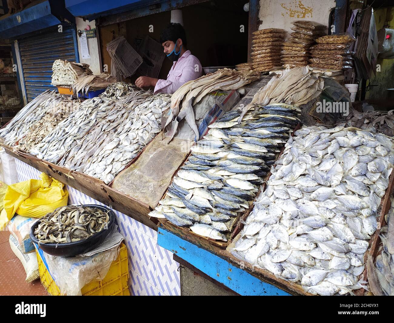 Fish market in Kerala India,Fishing in Cochin or Kovalam coastal area ...