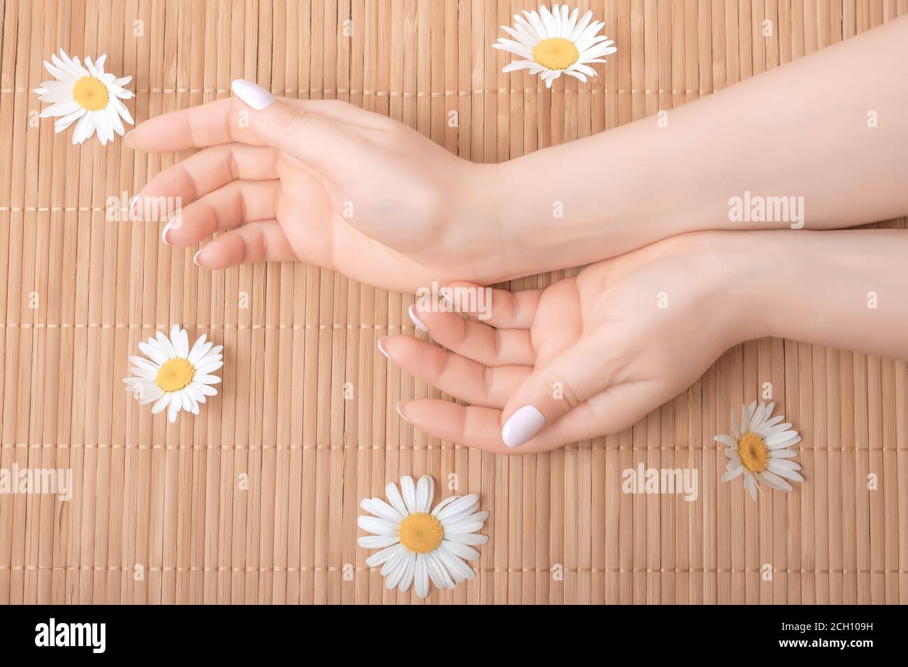 women's hands in a refined elegant position on a wooden background with ...