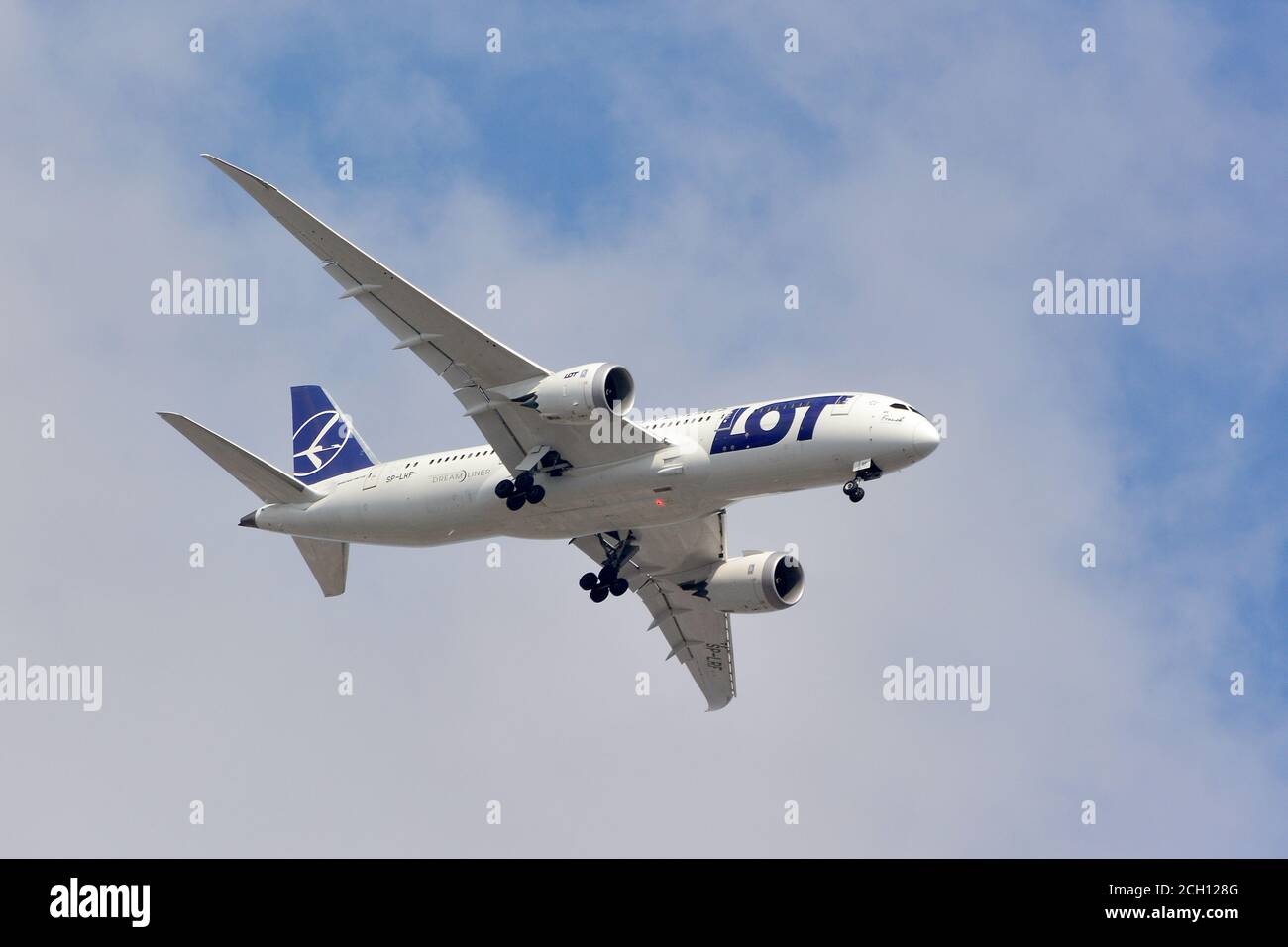 LOT - Boeing 787-800 Dreamliner airplane Stock Photo - Alamy
