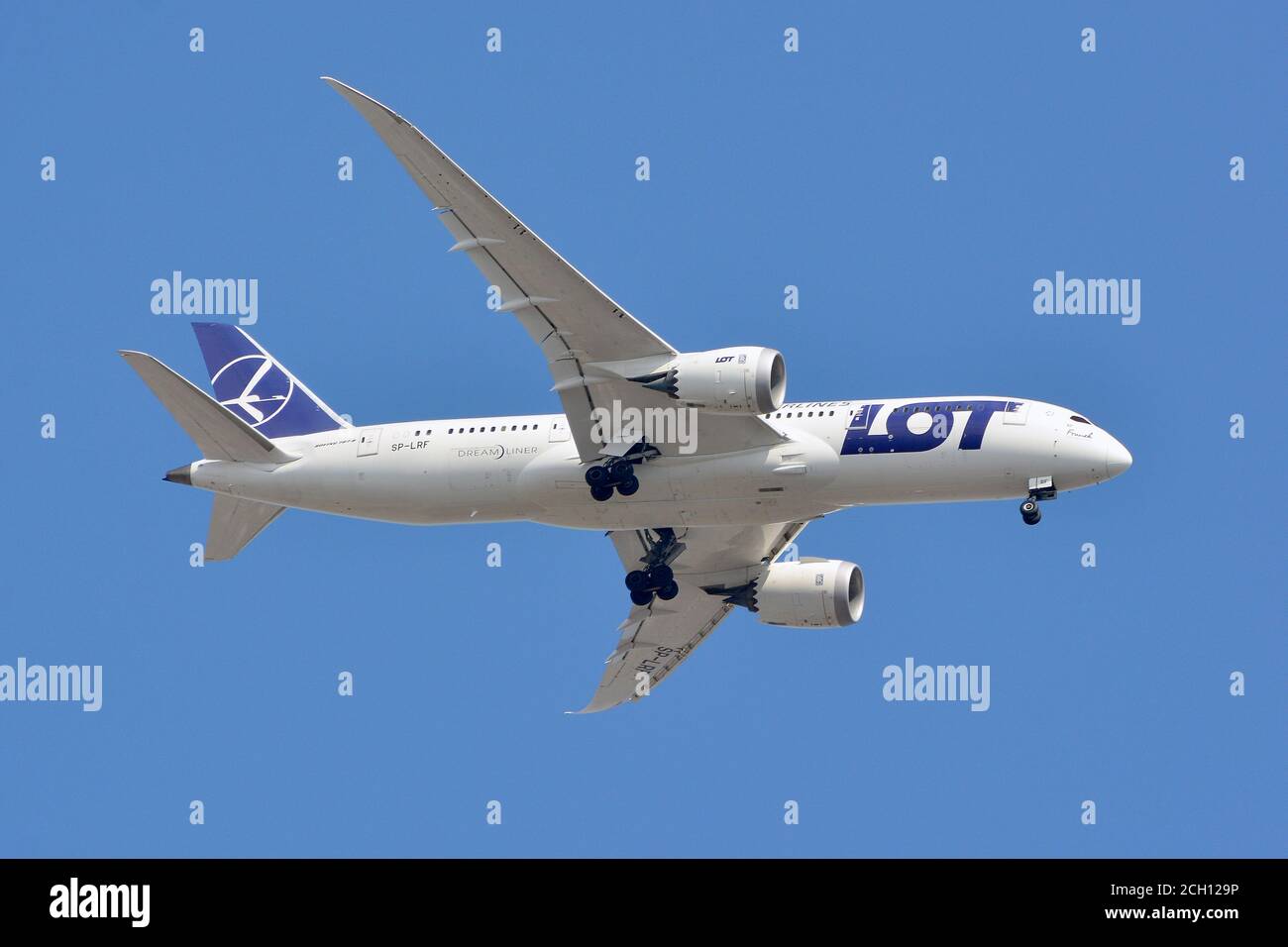 LOT - Boeing 787-800 Dreamliner airplane Stock Photo - Alamy