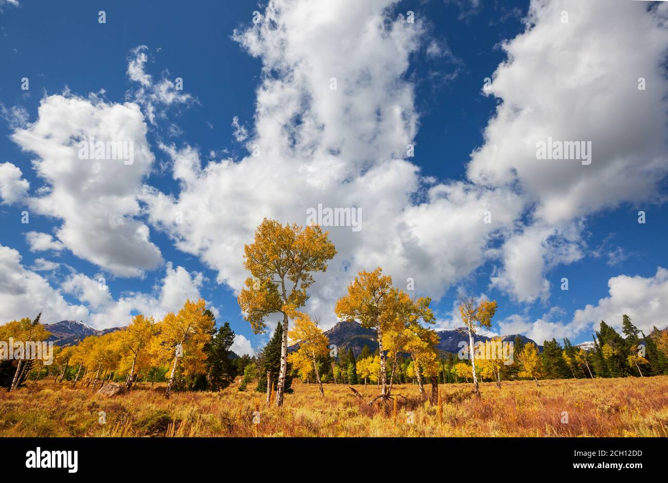 Late Autumn season in mountains Stock Photo - Alamy