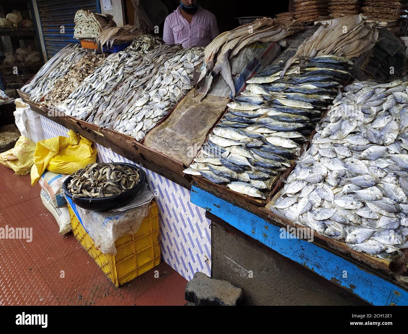 Fish market in Kerala India,Fishing in Cochin or Kovalam coastal area ...