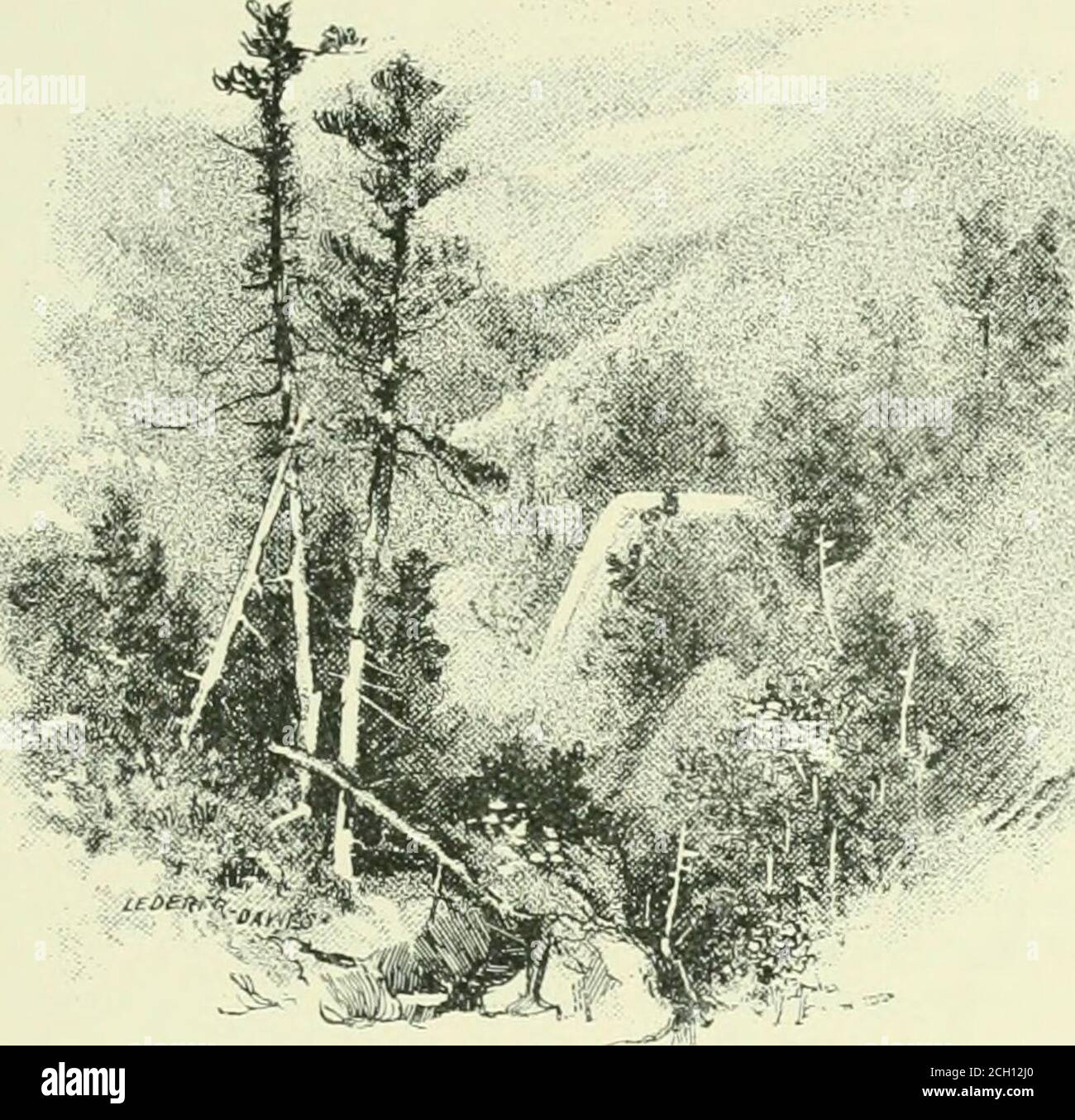 Timki hi-res stock photography and images - Alamy