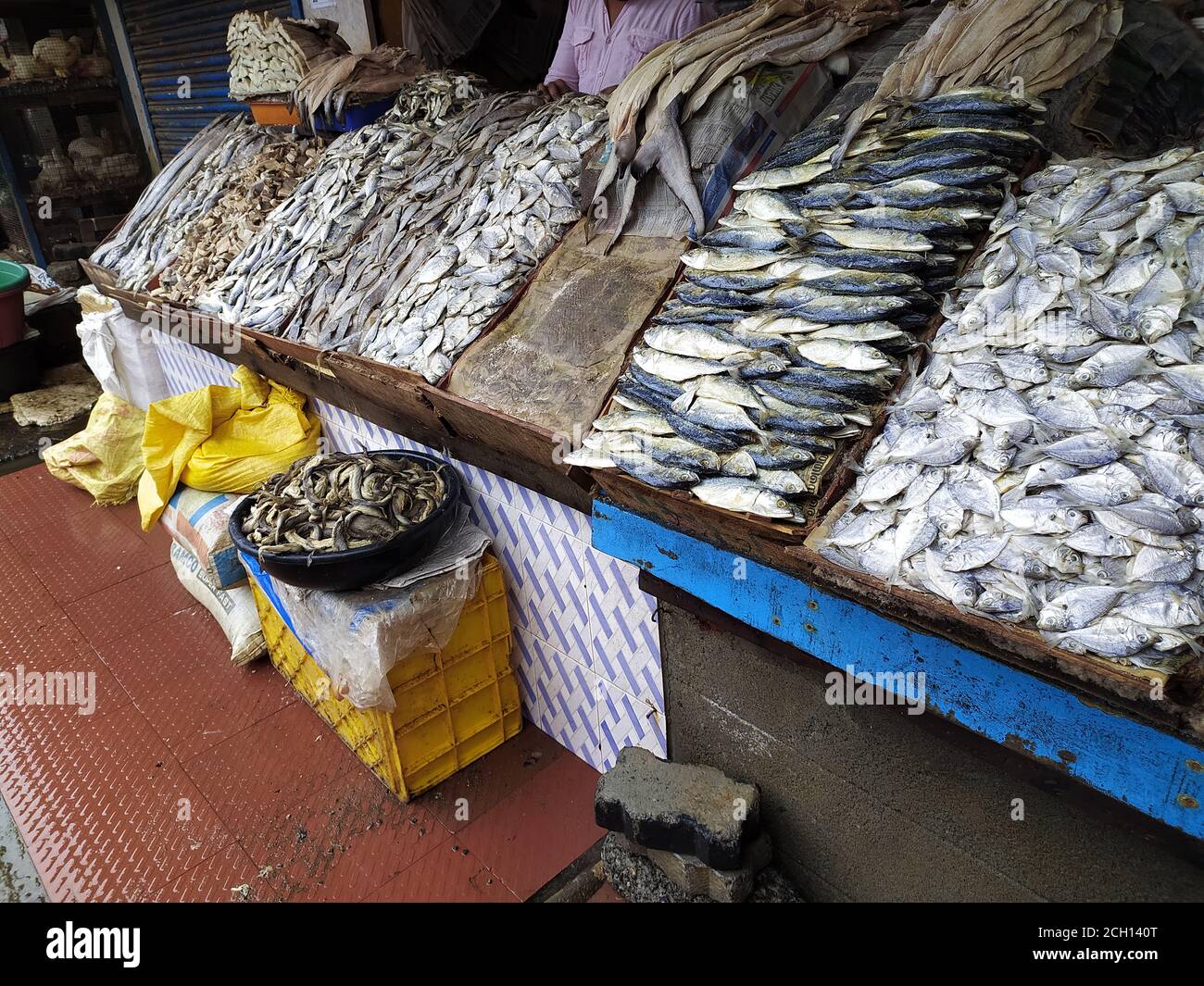 Fish market in Kerala India,Fishing in Cochin or Kovalam coastal area ...