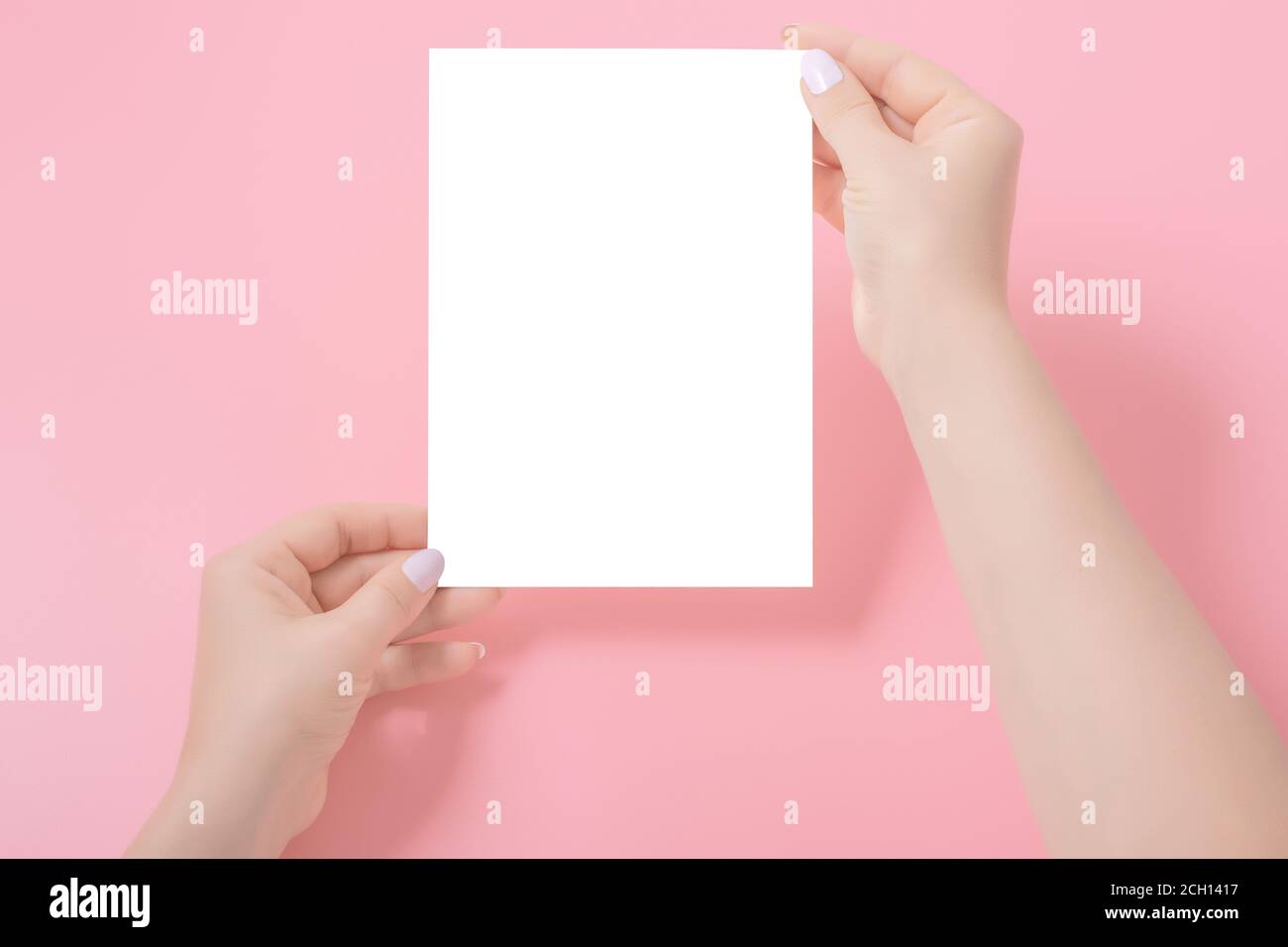 Manicured woman's hands holding postcard on pink background. Plain card ...