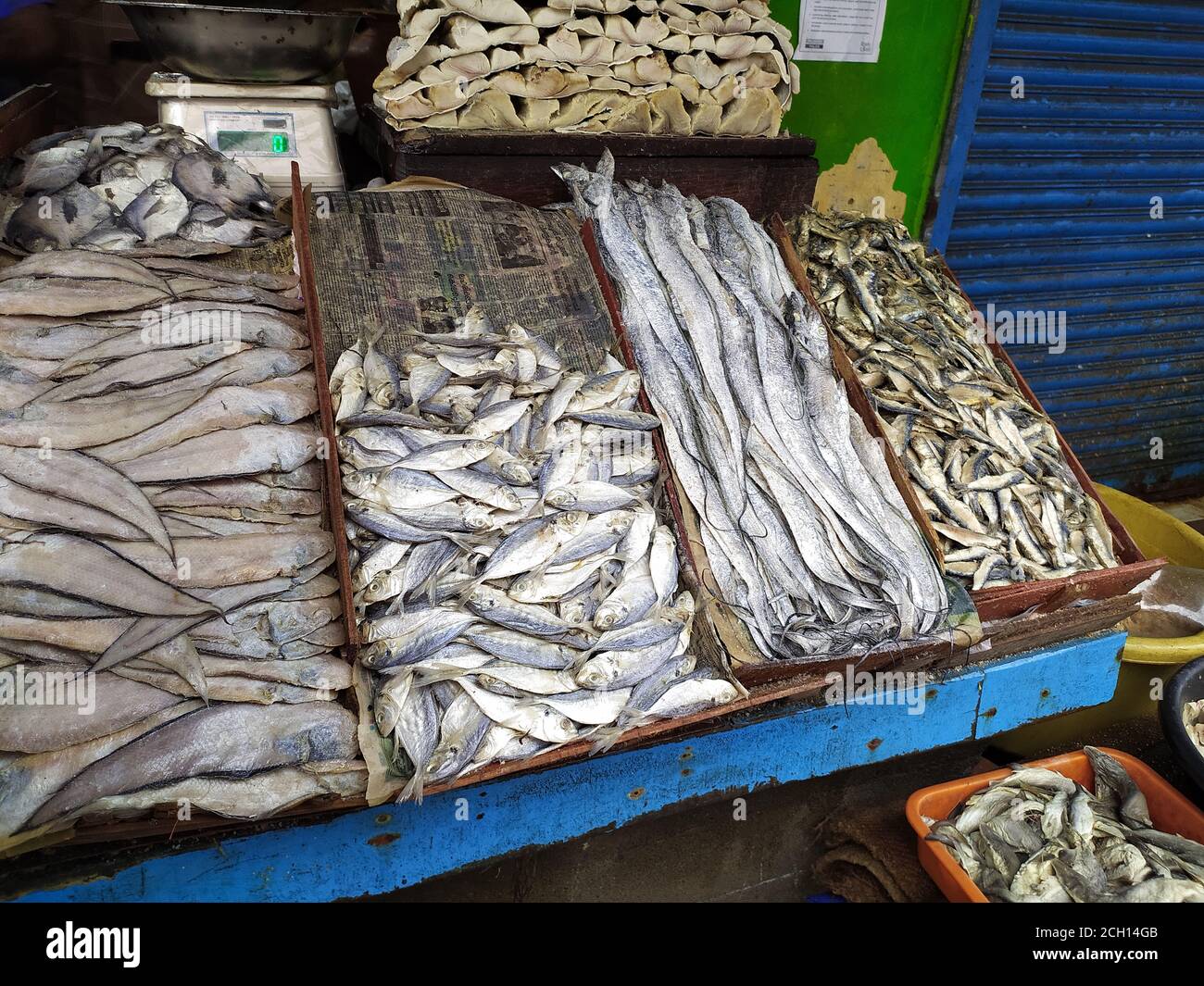 Fish market in Kerala India,Fishing in Cochin or Kovalam coastal area ...