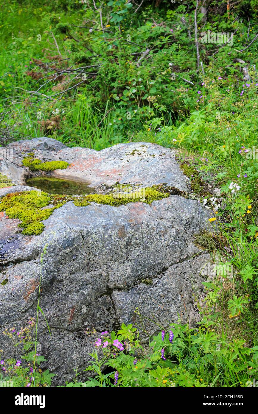 Beautiful Norwegian landscape. Big rocks, mountains and forest. Norway ...