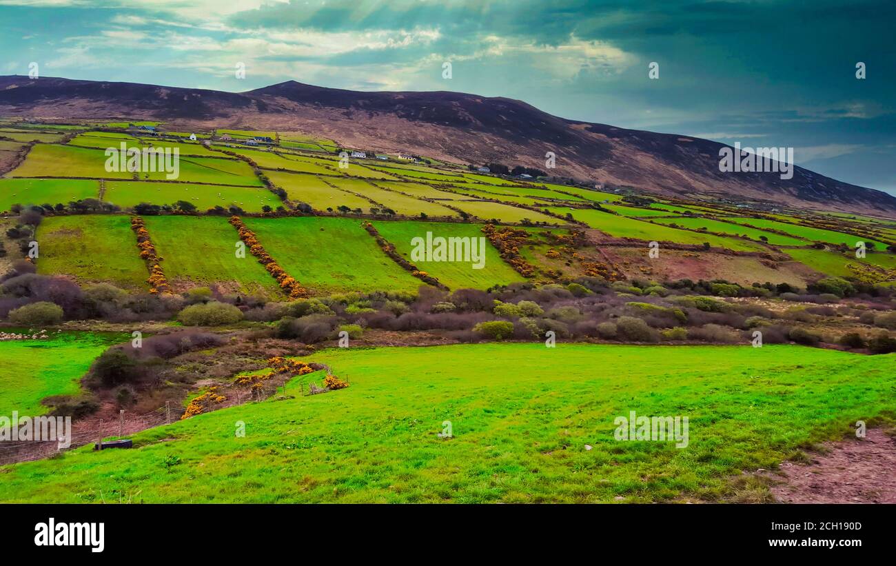 rural landscape for farming in ireland Stock Photo - Alamy