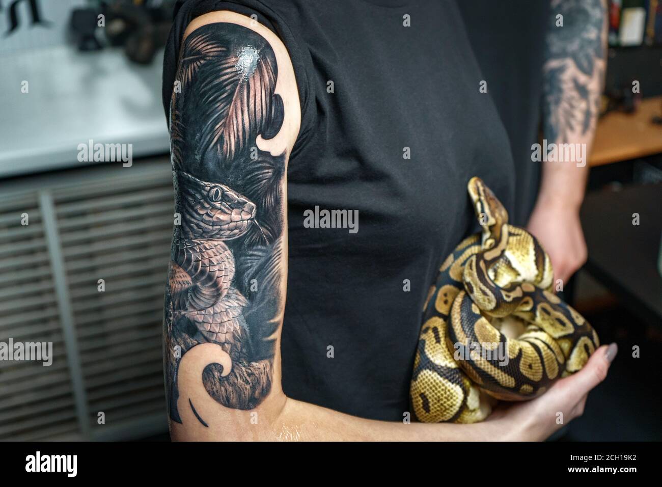 Girl holding python which is the sample for tattoo Stock Photo - Alamy