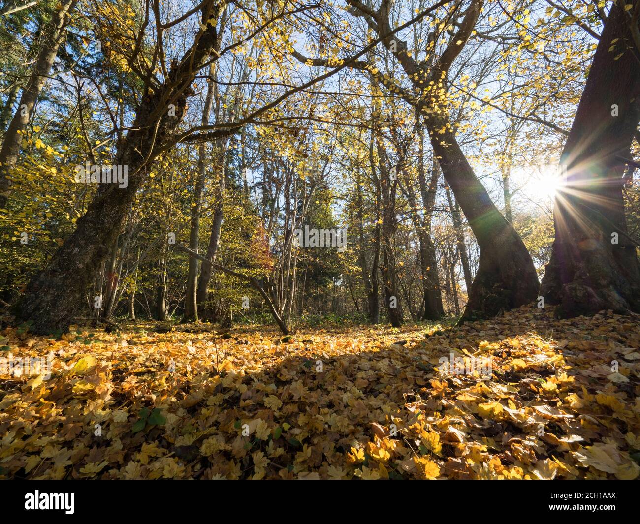 Ramridge hi-res stock photography and images - Alamy