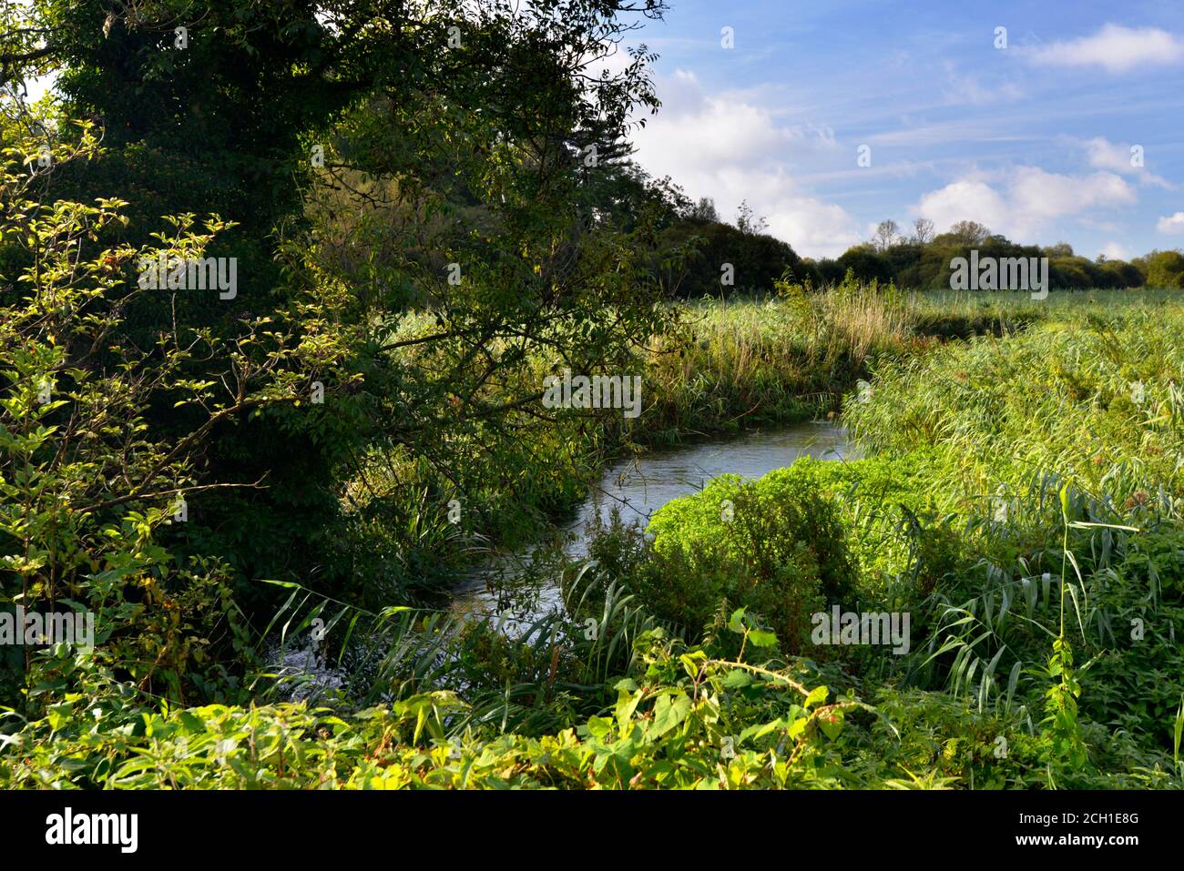 Water meadows in the Test Valley near Stockbridge, Hampshire Stock ...