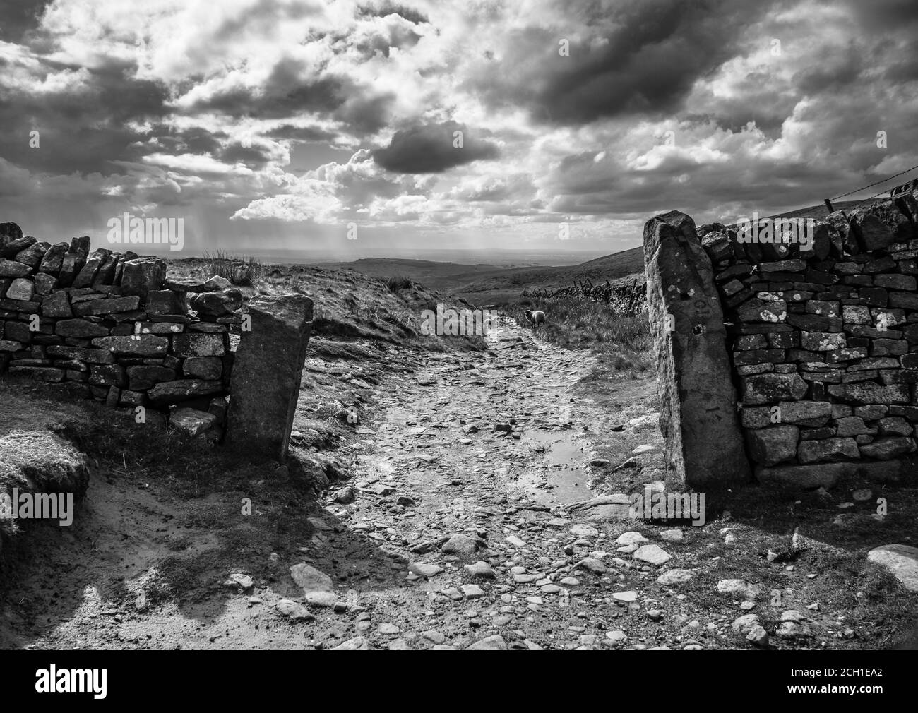 Stone wall in path Black and White Stock Photos & Images - Alamy