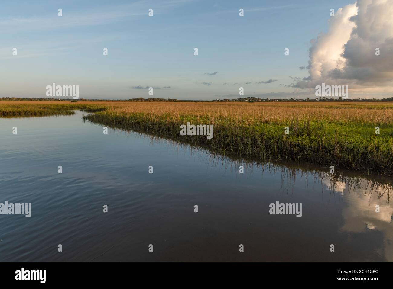Marsh marshland seagrass hi-res stock photography and images - Alamy