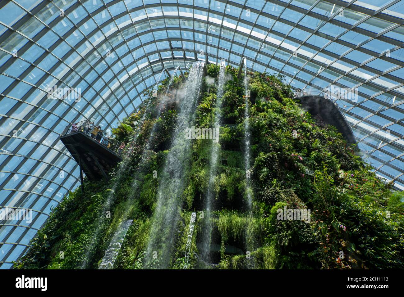 Singapore, Gardens by the Bay, Cloud Forest dome. Inside glassed dome ...