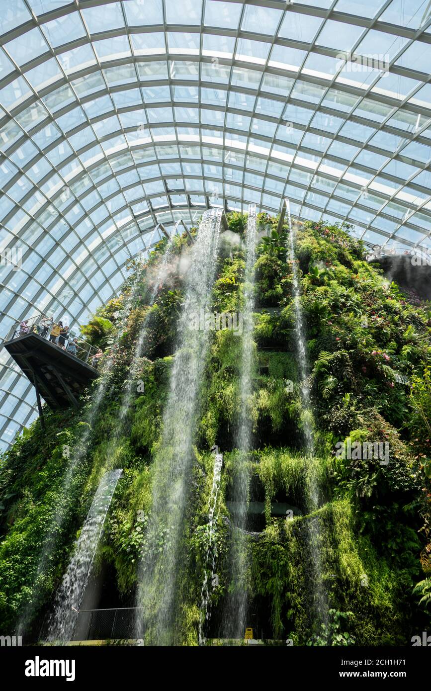 Singapore, Gardens by the Bay, Cloud Forest dome. Inside glassed dome ...