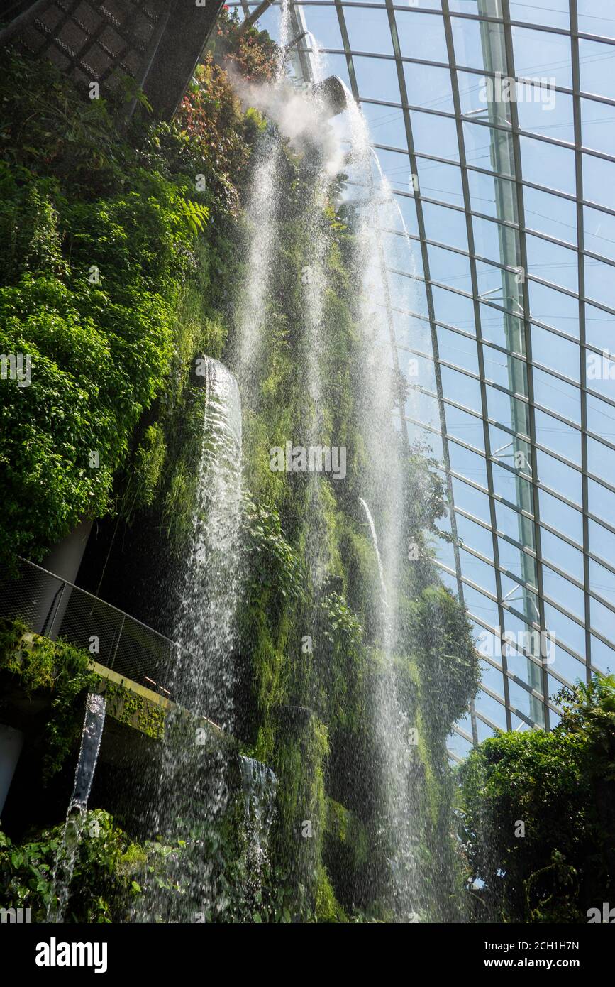 Singapore, Gardens by the Bay, Cloud Forest dome. Inside glassed dome ...