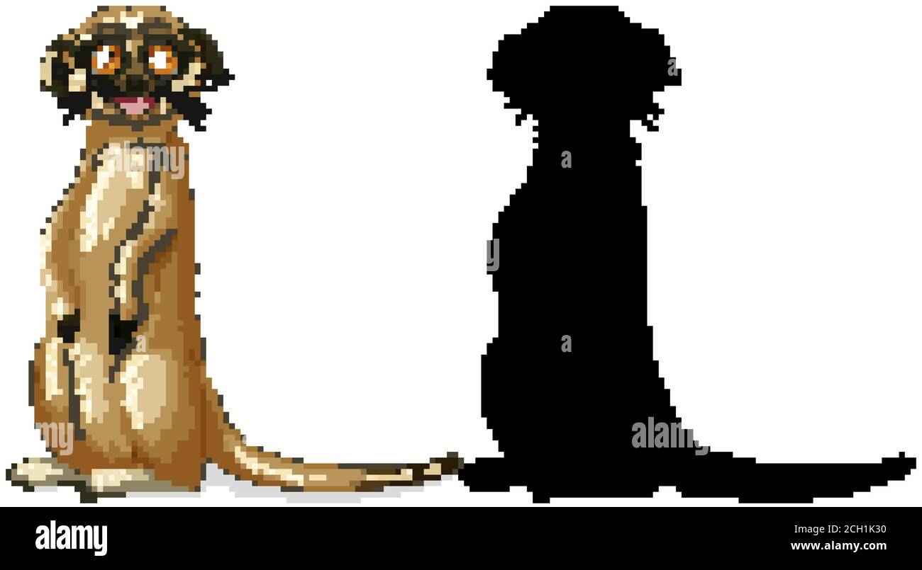 Set of meerkat characters and its silhouette on white background ...