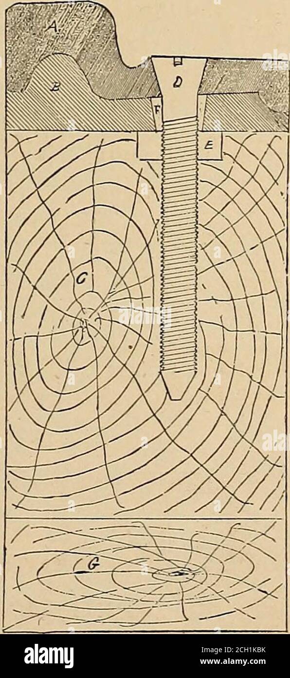 Tram rail cross section hi-res stock photography and images - Alamy
