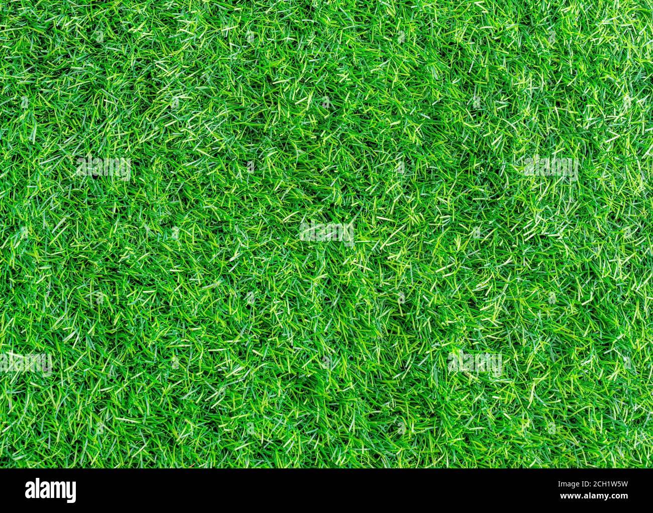 Pattern of green grass texture, Grass background in light from the sun ...