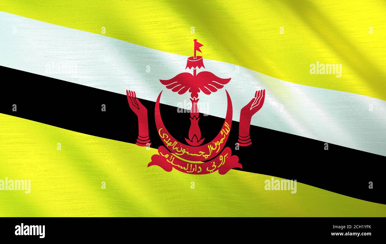 The waving flag of Brunei. High quality 3D illustration. Perfect for ...