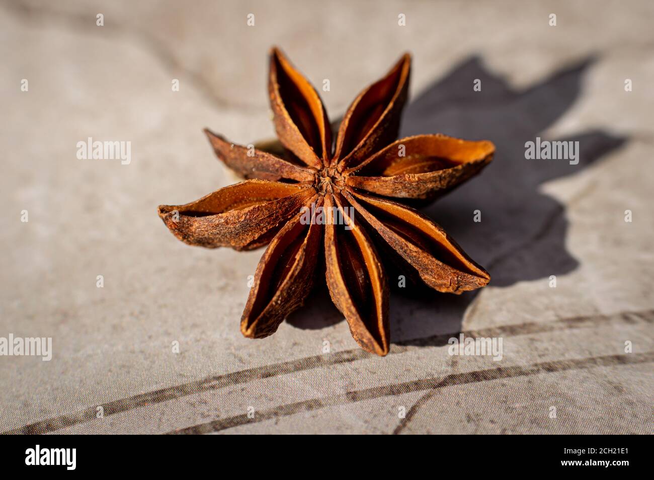 Seed pod star hi-res stock photography and images - Alamy