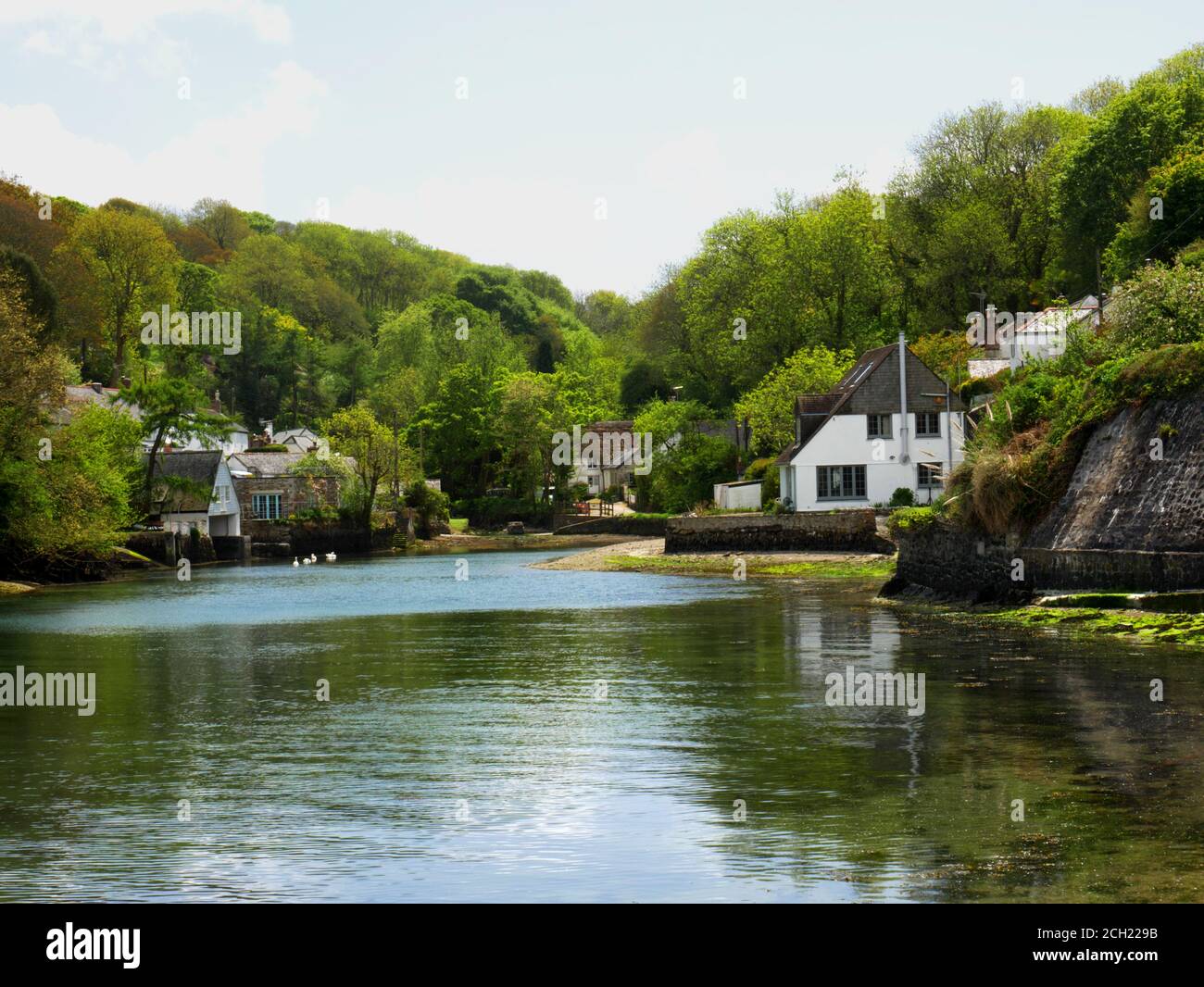 The village of Helford, Cornwall, lies at the head of a wooded creek ...