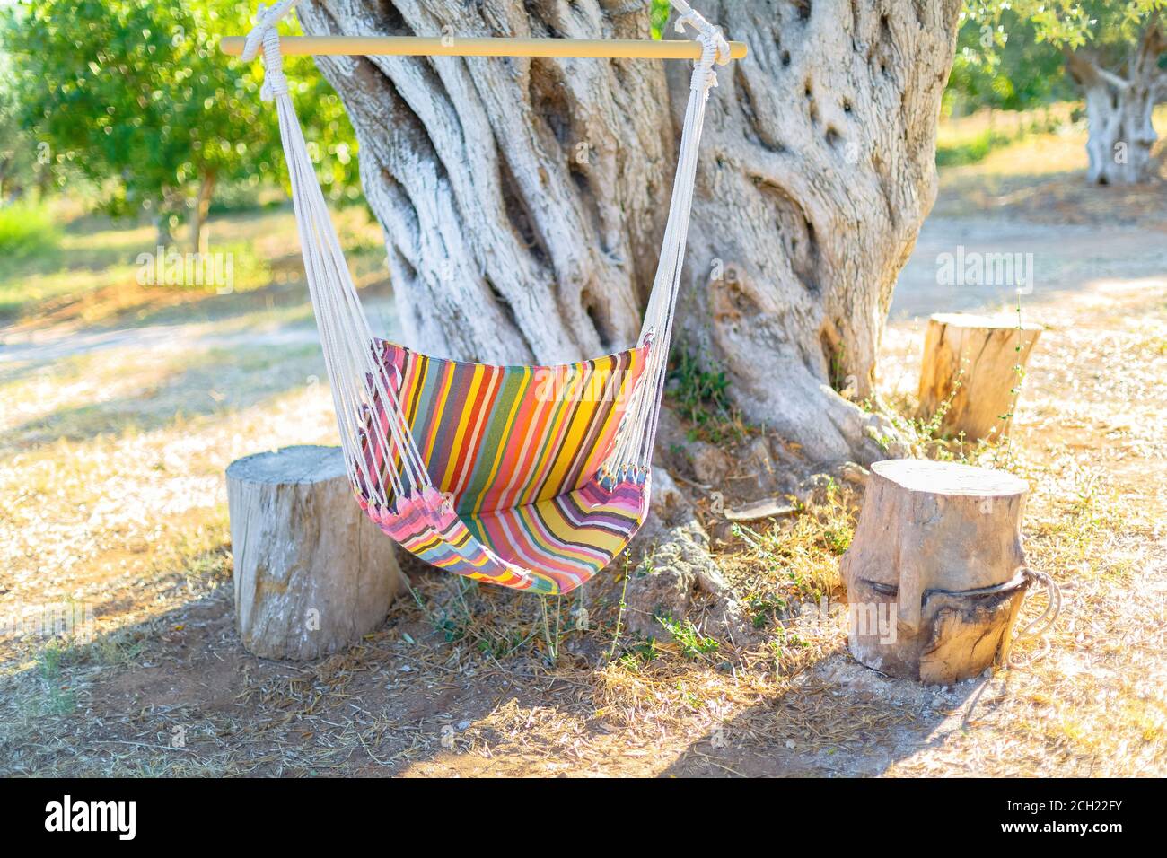 Rope chair in garden hanging from tree for relaxation Stock Photo - Alamy