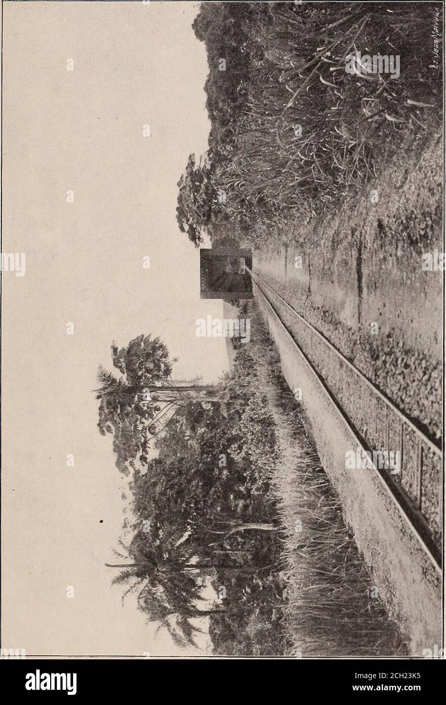 . Le chemin de fer du Congo (Matadi-Stanley-Pool) . o CL, ao eu. >fifi ...