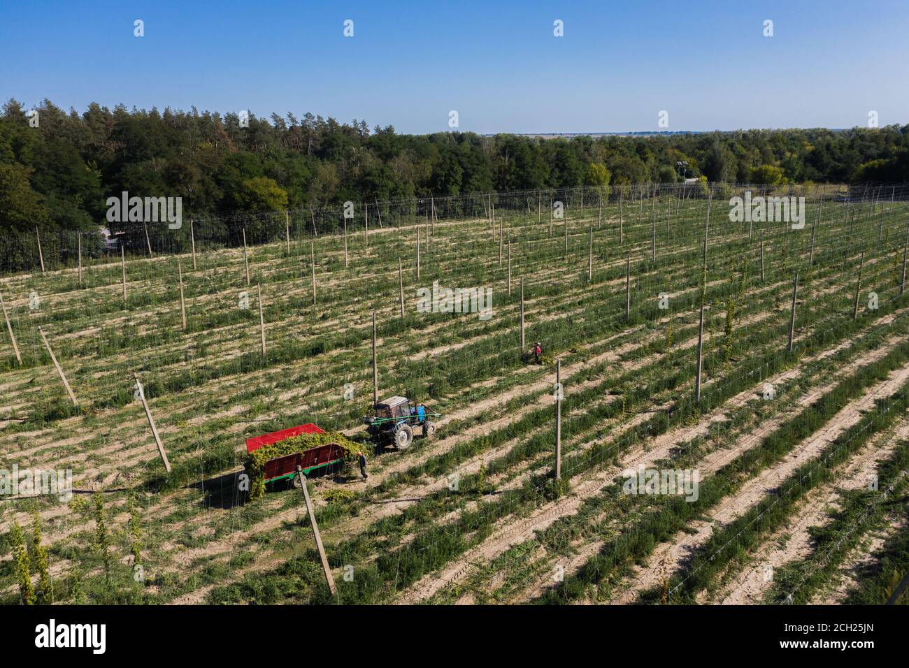 Field farmer crop crops fieldwork hi-res stock photography and images ...