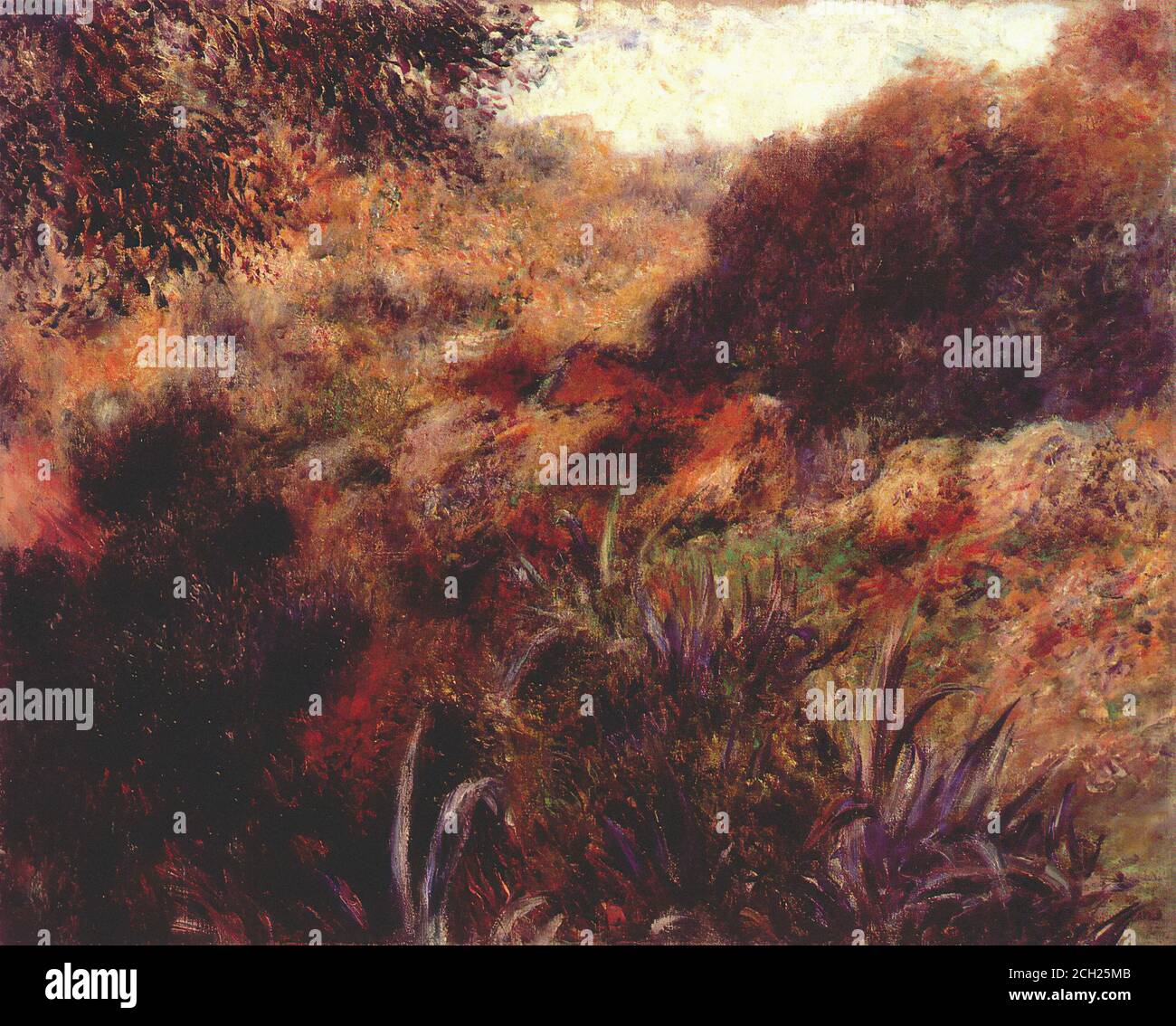 Ravin de la femme sauvage hi-res stock photography and images - Alamy