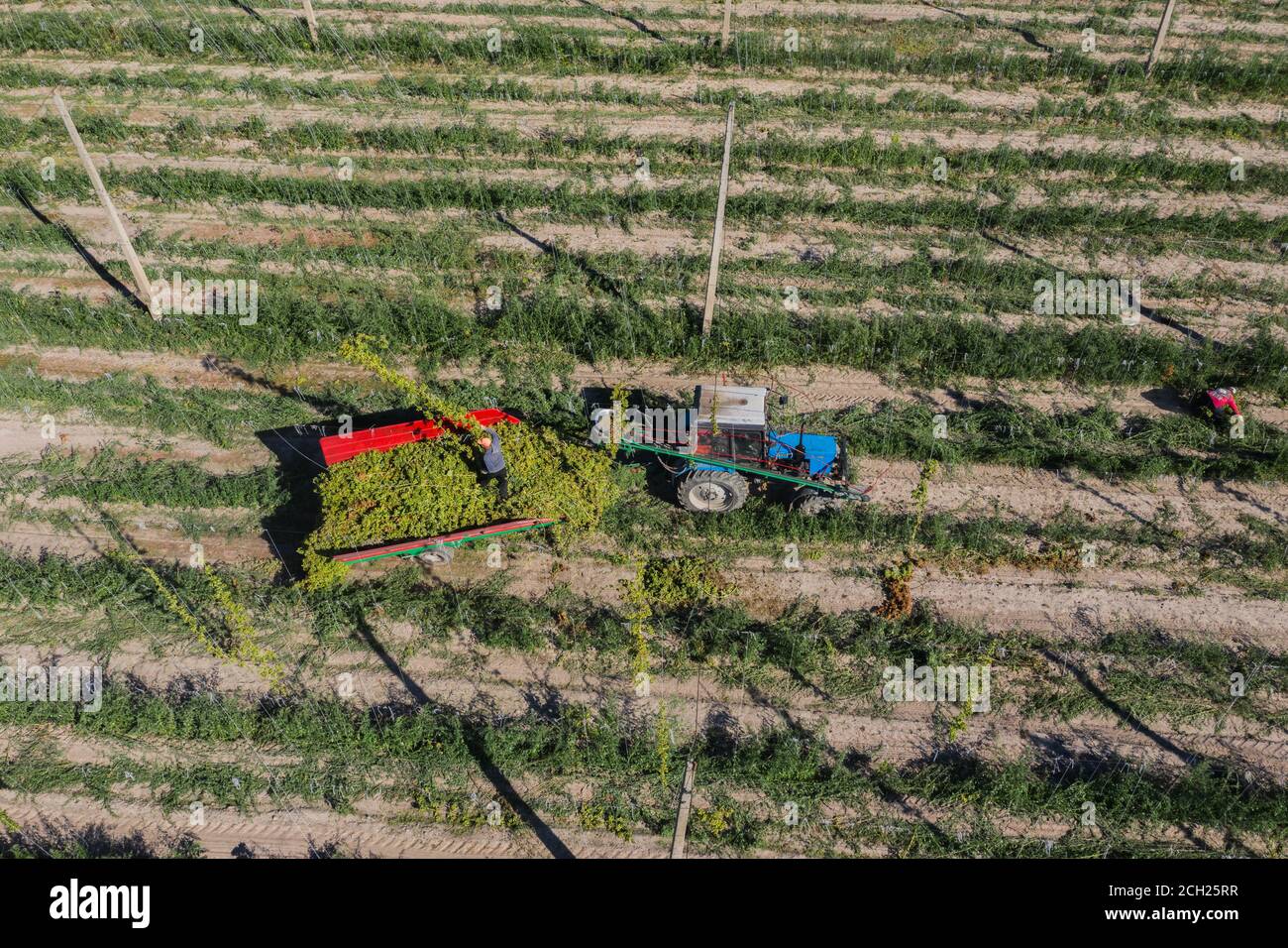 Hop picking machine hi-res stock photography and images - Alamy