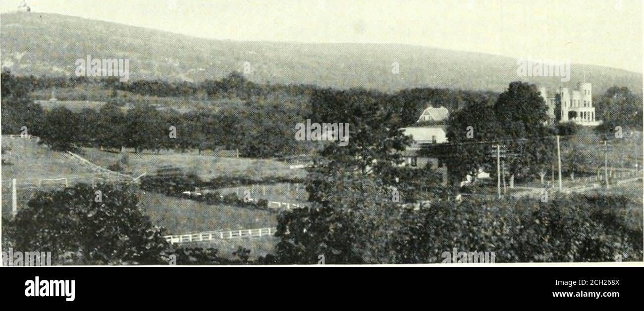 . Views on and about Mt. Tom and of Mt. Tom railroad . Looking Up the ...