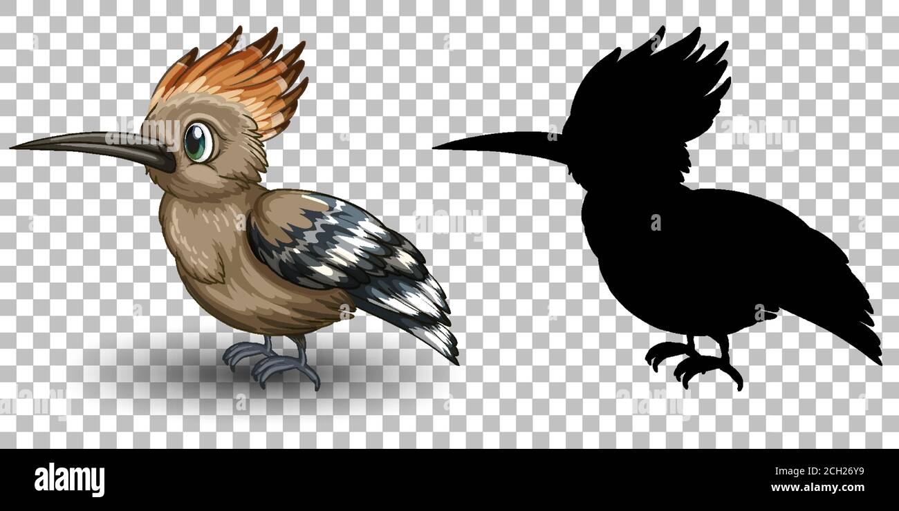 Roadrunner bird cartoon character with its silhouette illustration ...