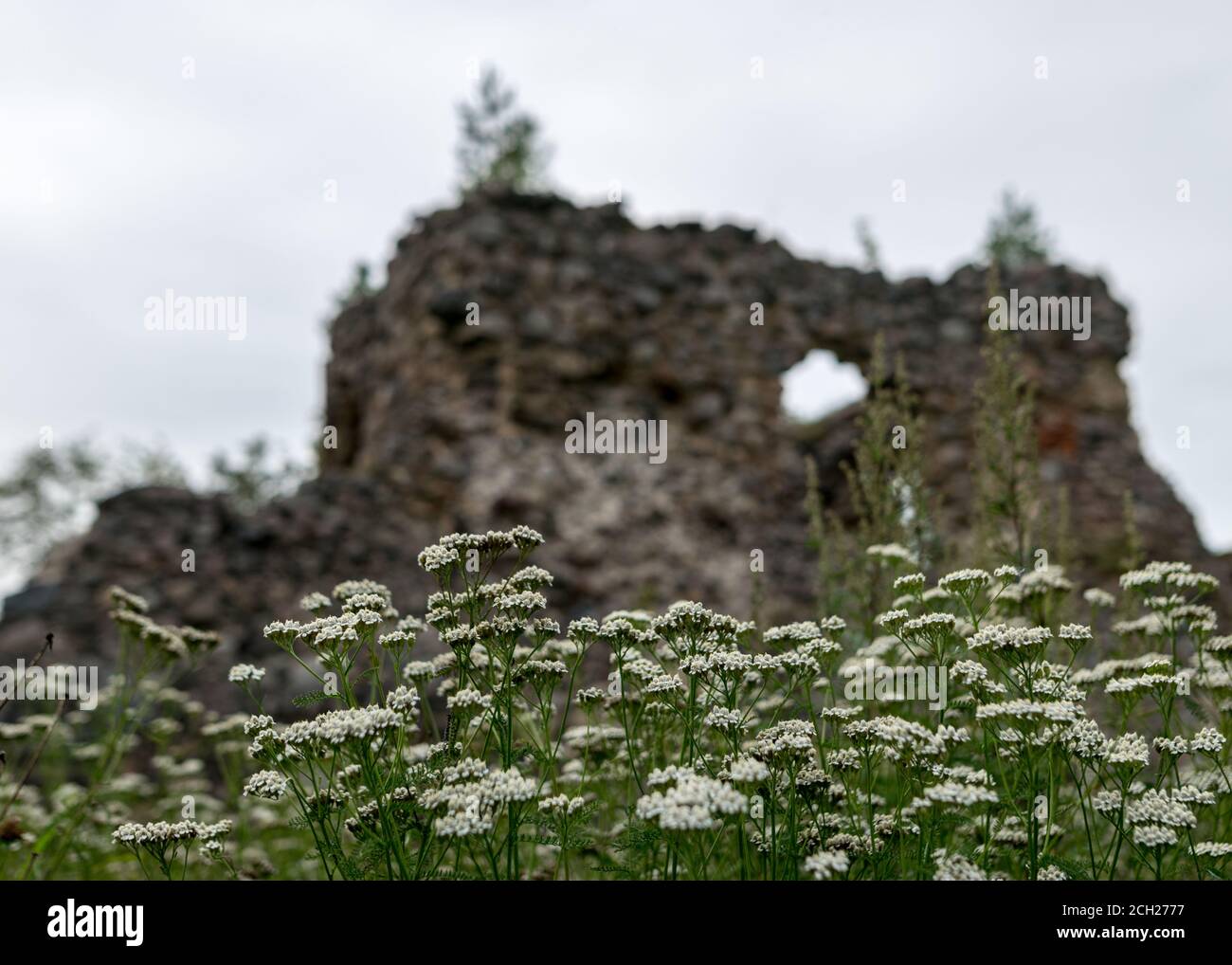 old medieval stone castle ruins, Ergeme castle ruins, Latvia Stock ...