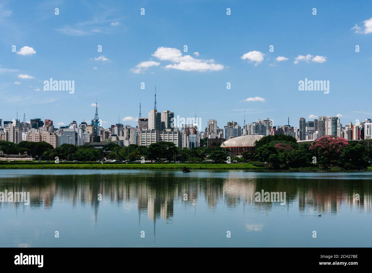 A general view of modern high-rise buildings towering above the trees ...