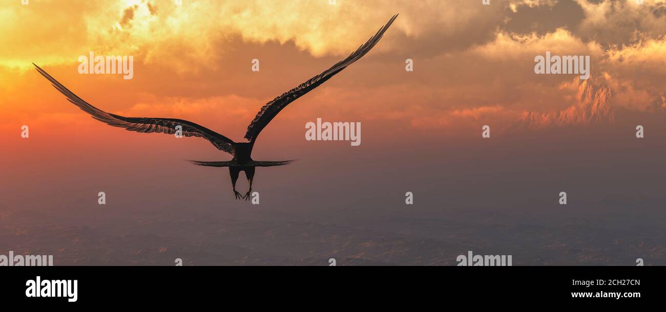 3d illustration Eagle flying in the clouds at dawn Stock Photo - Alamy