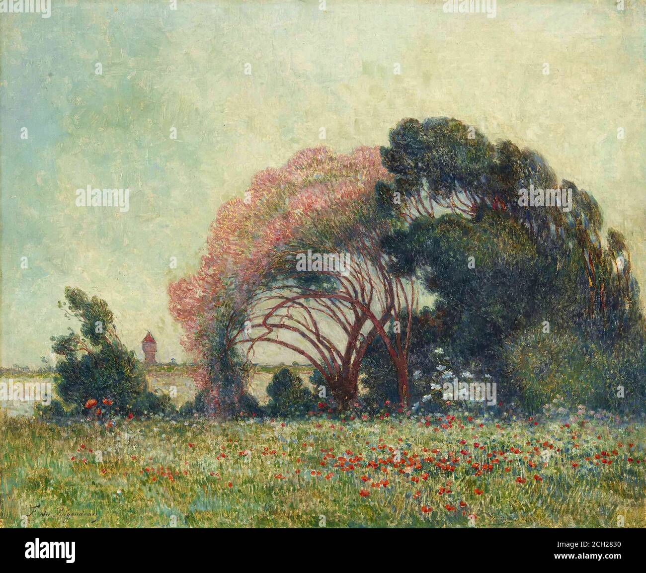 Ferdinand loyen de puigaudeau hi-res stock photography and images - Alamy