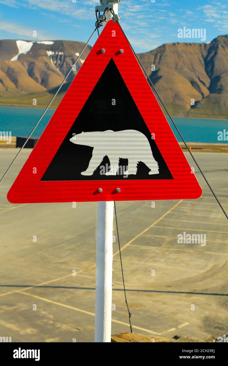Bear crossing road sign hi-res stock photography and images - Alamy