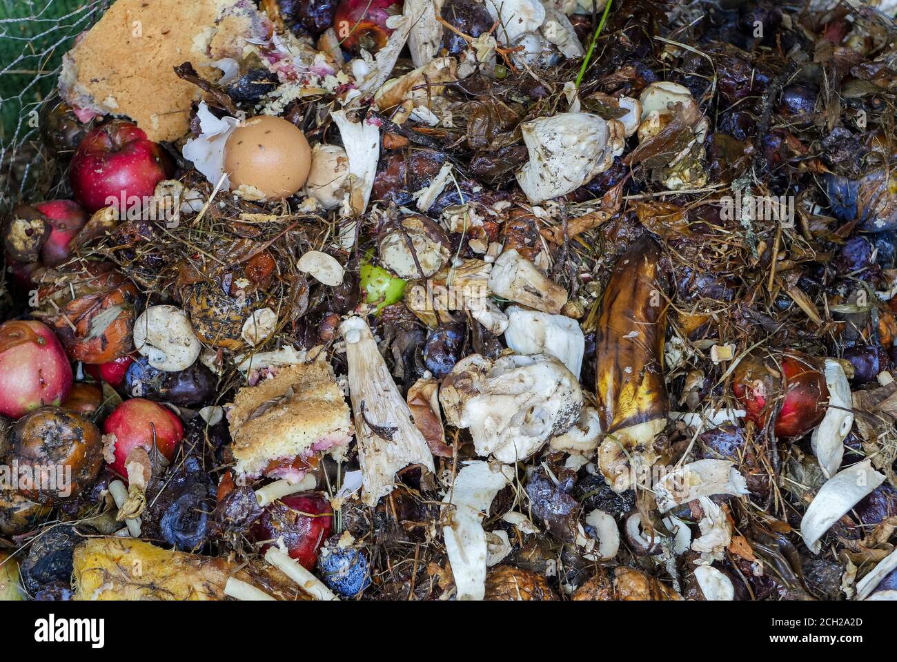Dispose of organic waste hi-res stock photography and images - Alamy