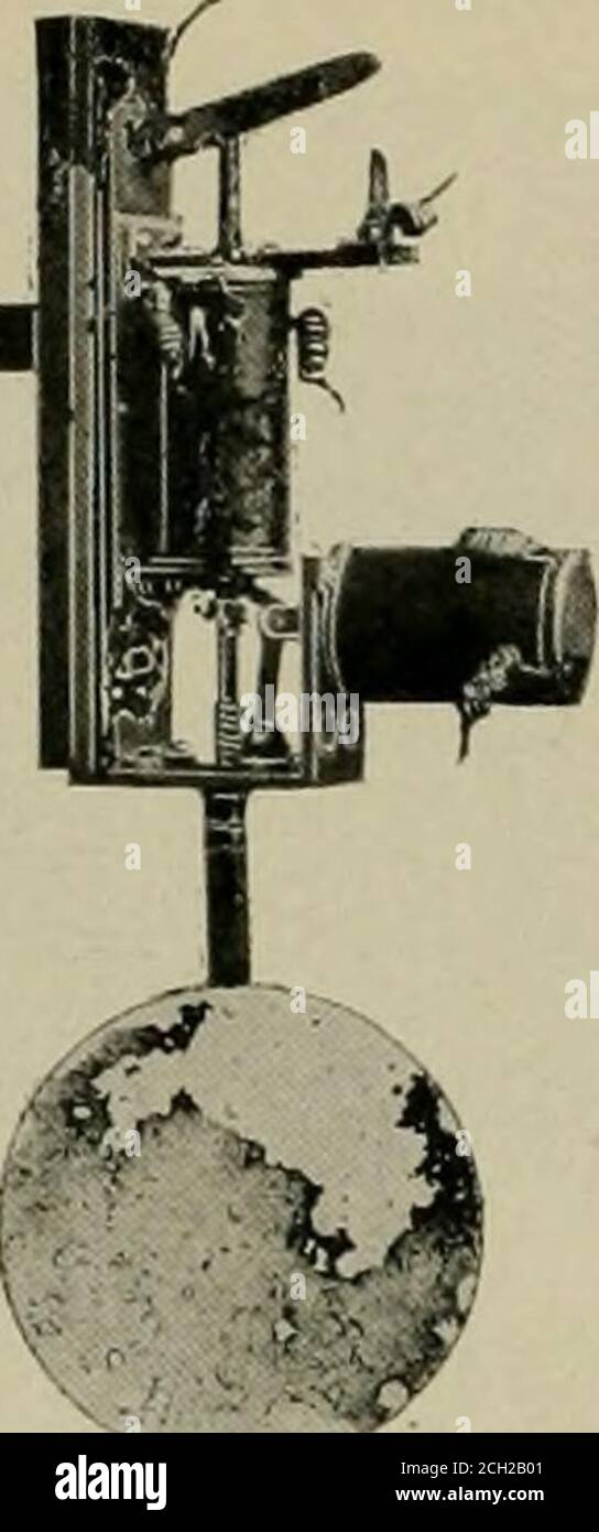 Telltale High Resolution Stock Photography and Images - Alamy