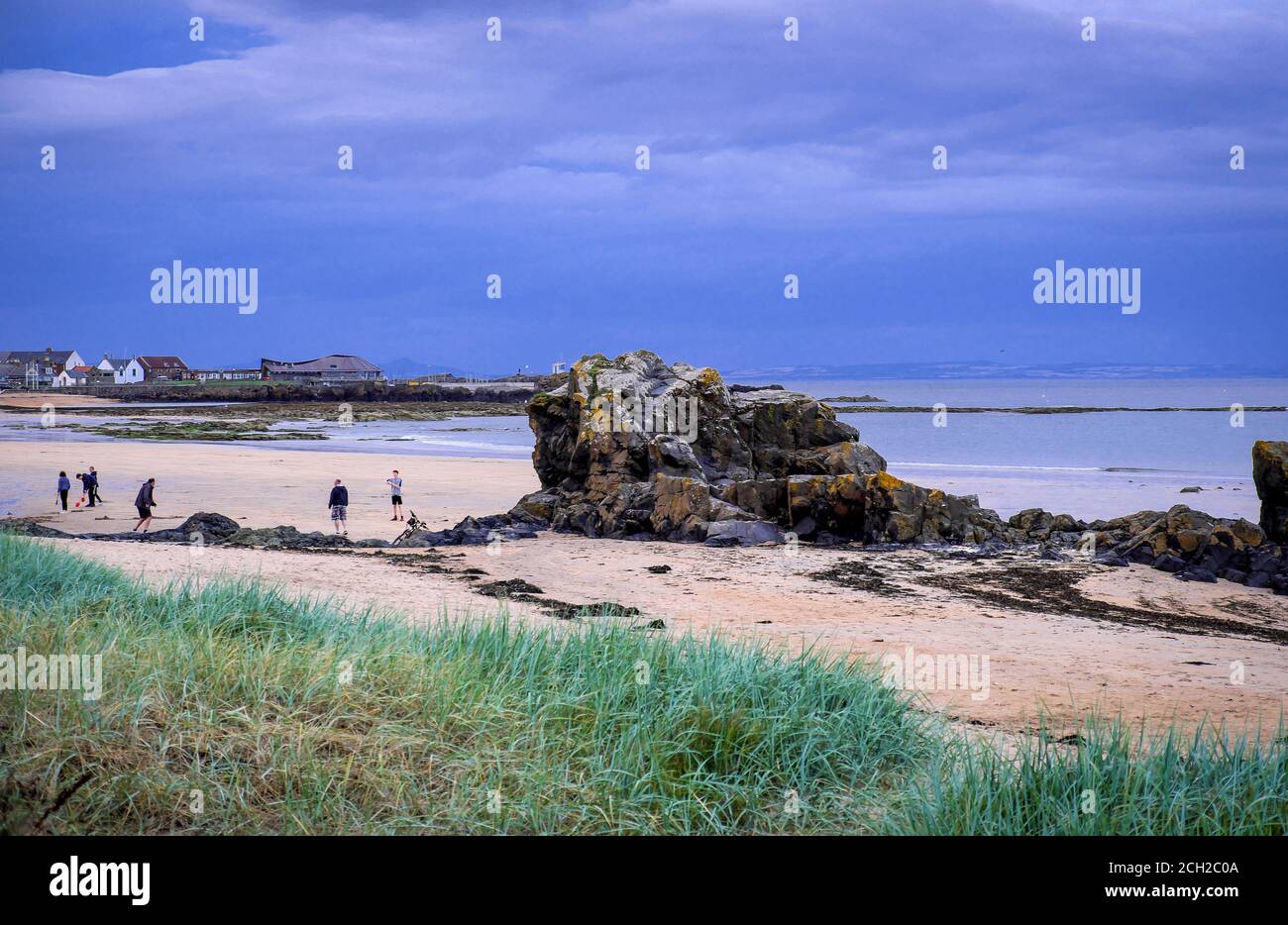 summer in scotland Stock Photo - Alamy