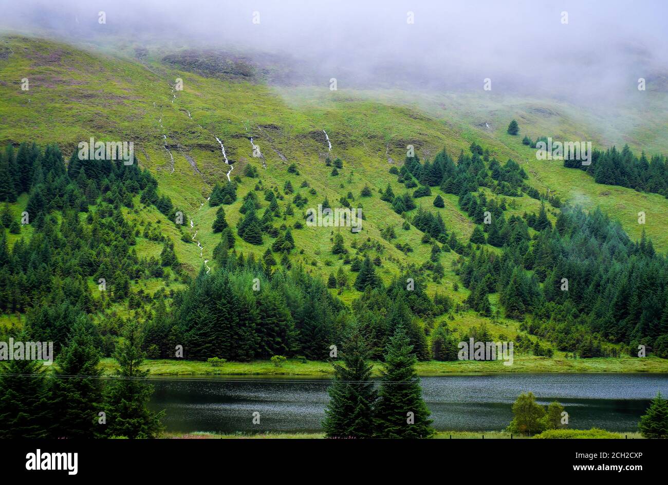 summer in scotland Stock Photo - Alamy