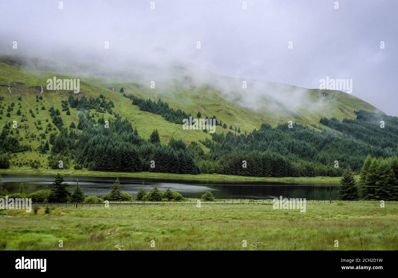 summer in scotland Stock Photo - Alamy