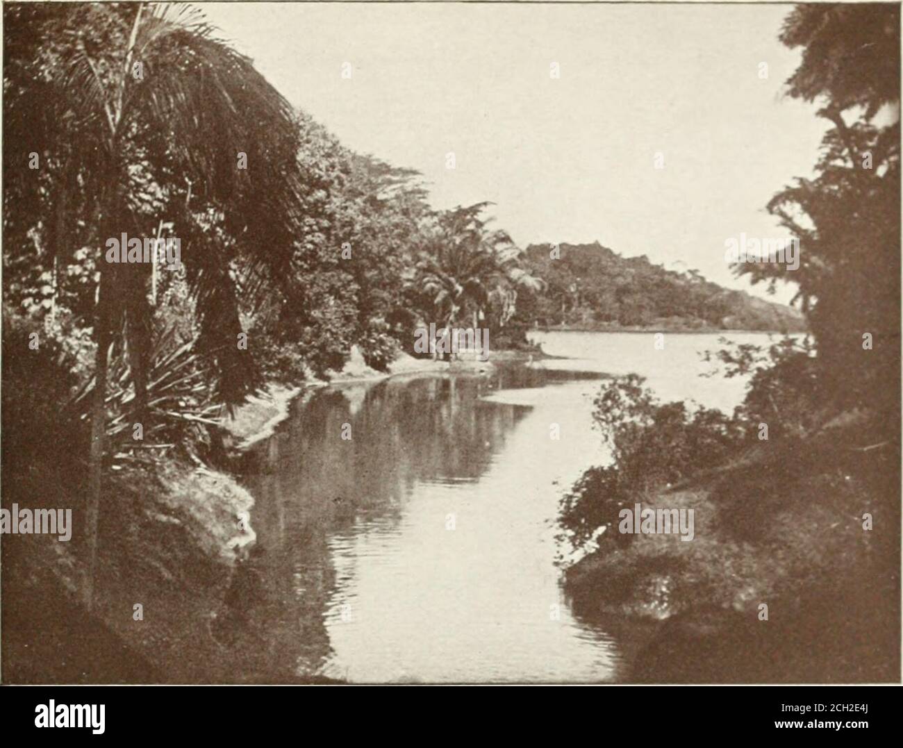 . The book of Ceylon; being a guide to its railway system and an ...