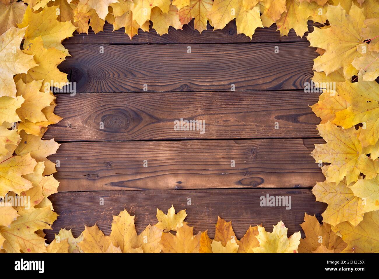 Autumn leaves Square frame on wooden background top view Fall Border ...