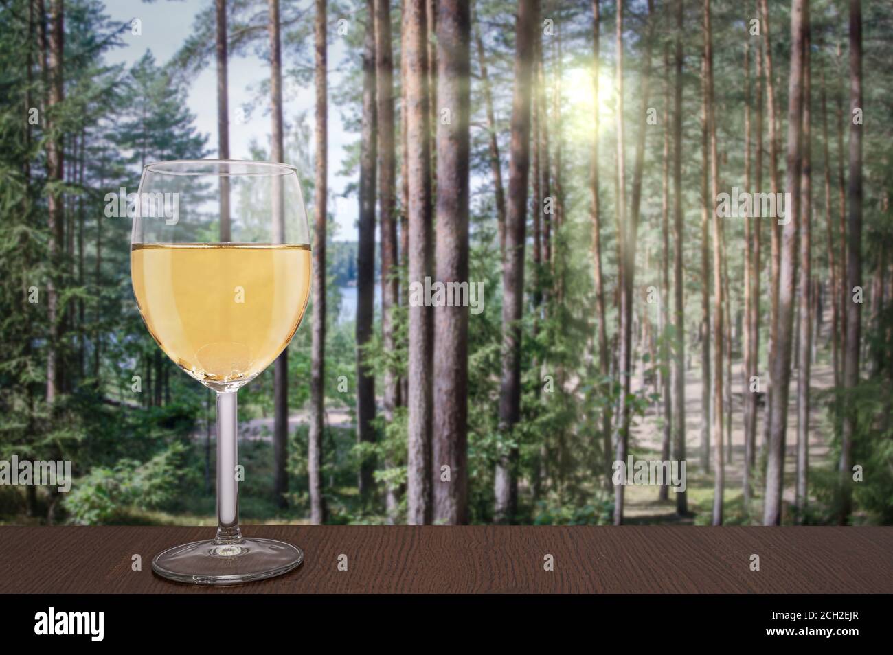 Glass of white wine against forest background with rays of sun Stock ...