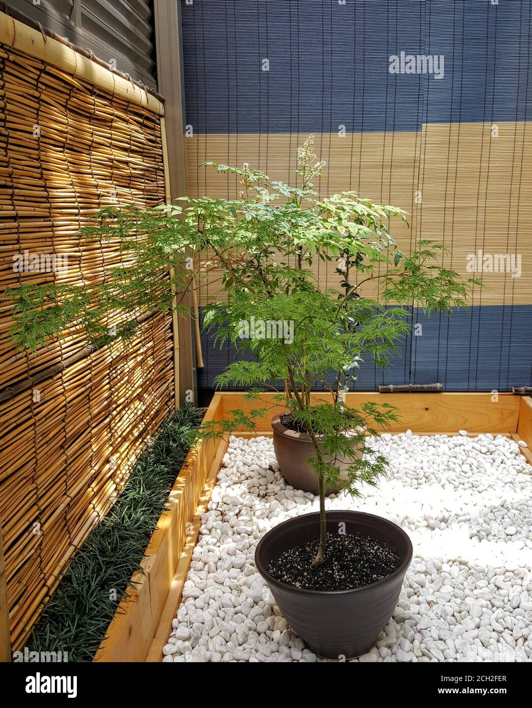 Japanese Zen Garden Indoor